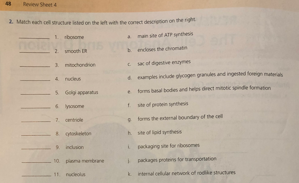 Solved 48 Review Sheet 4 2. Match each cell structure listed | Chegg.com