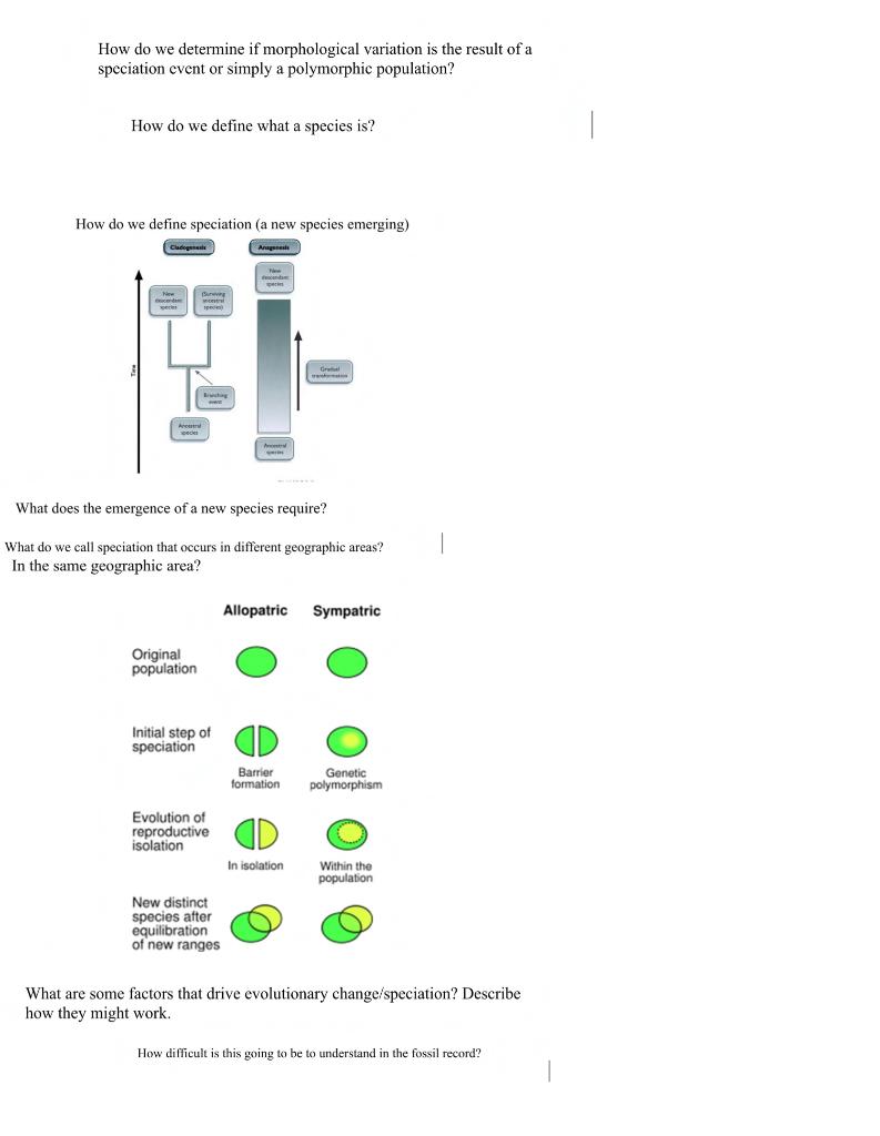 Solved How do we determine if morphological variation is the | Chegg.com