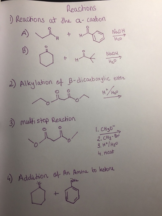Solved ORGANIC Chemistry Reactions at the alpha | Chegg.com