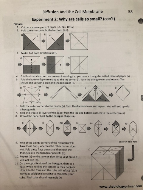 Solved 58 Diffusion and the Cell Membrane Experiment 2: Why | Chegg.com
