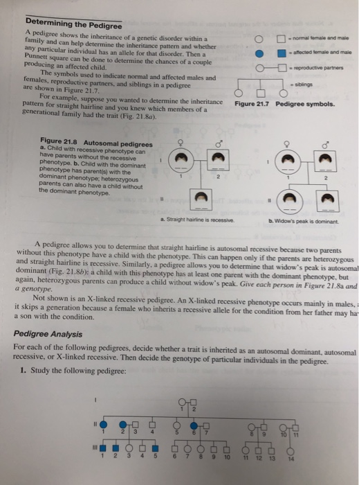 Solved Determining the Pedigree A pedigree shows the | Chegg.com