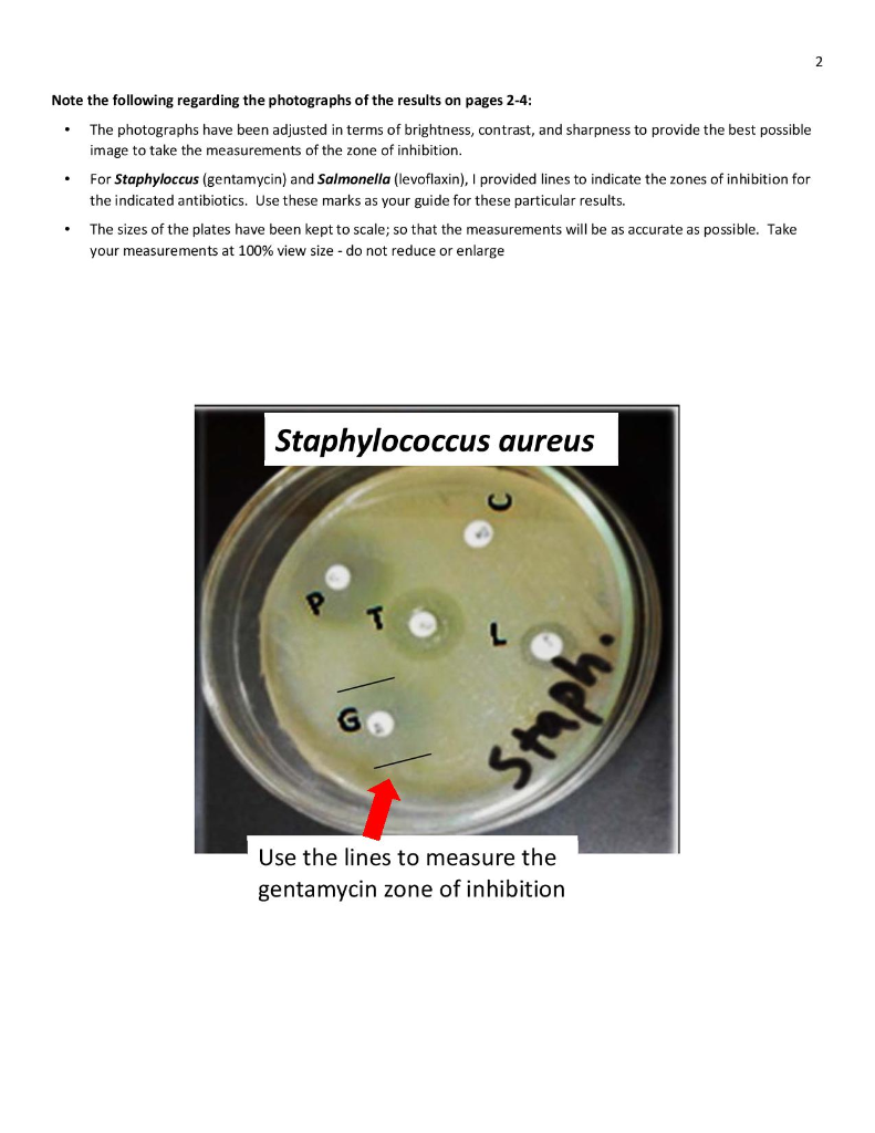 Name TA/Lab Period: Lab 12 Handout: Lab Exercise 7-2 | Chegg.com