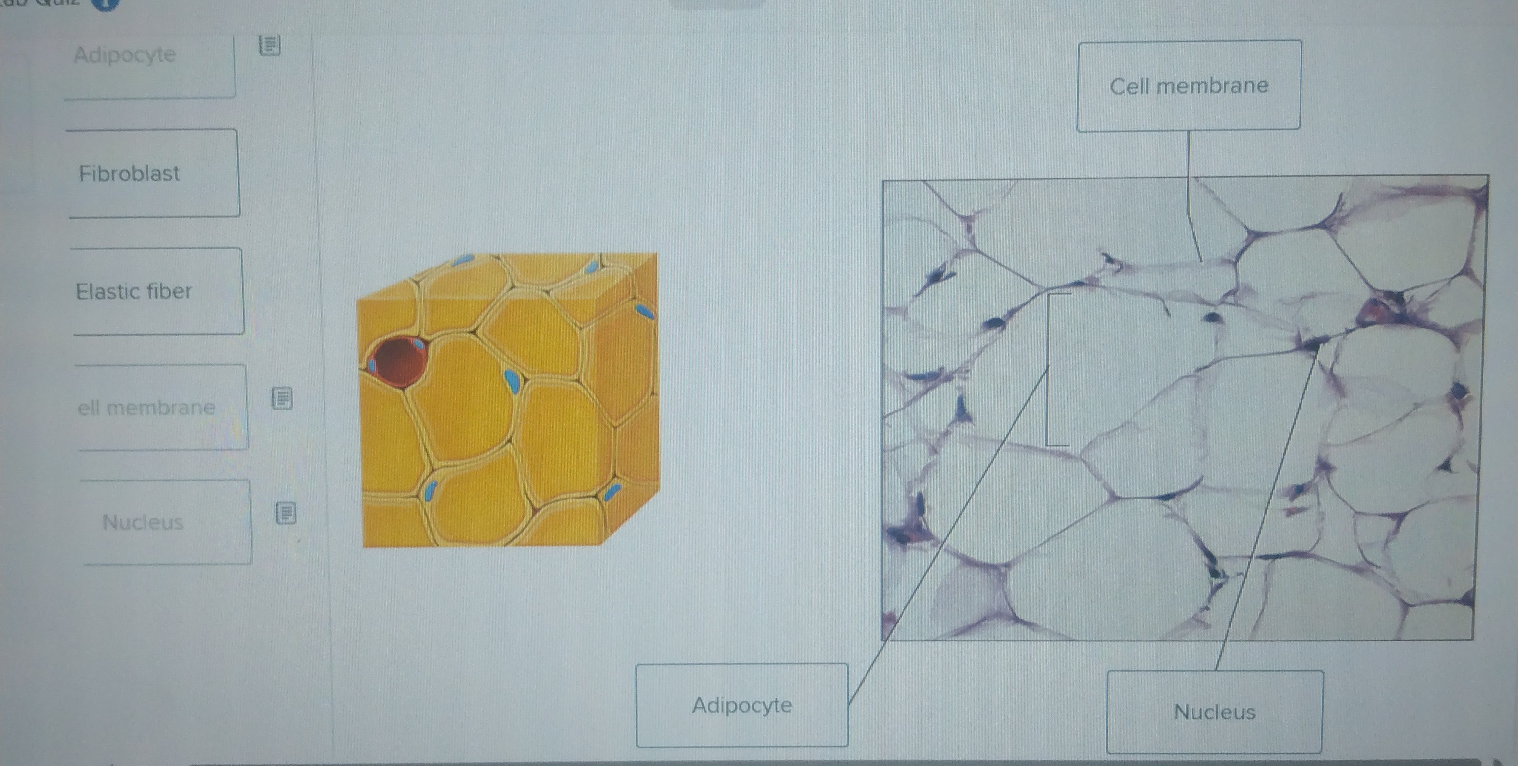 Solved I'm not sure if I answered this correctly | Chegg.com