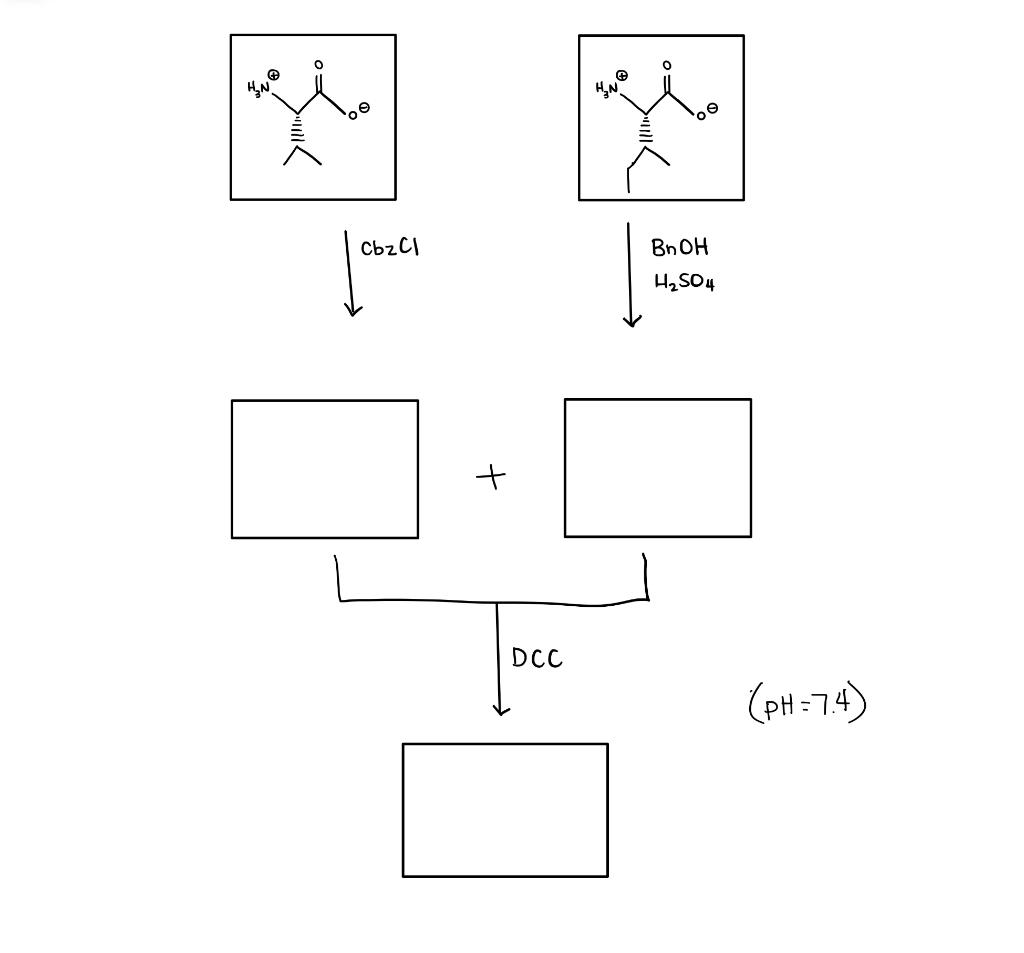 Include The Correct Stereochemistry Please