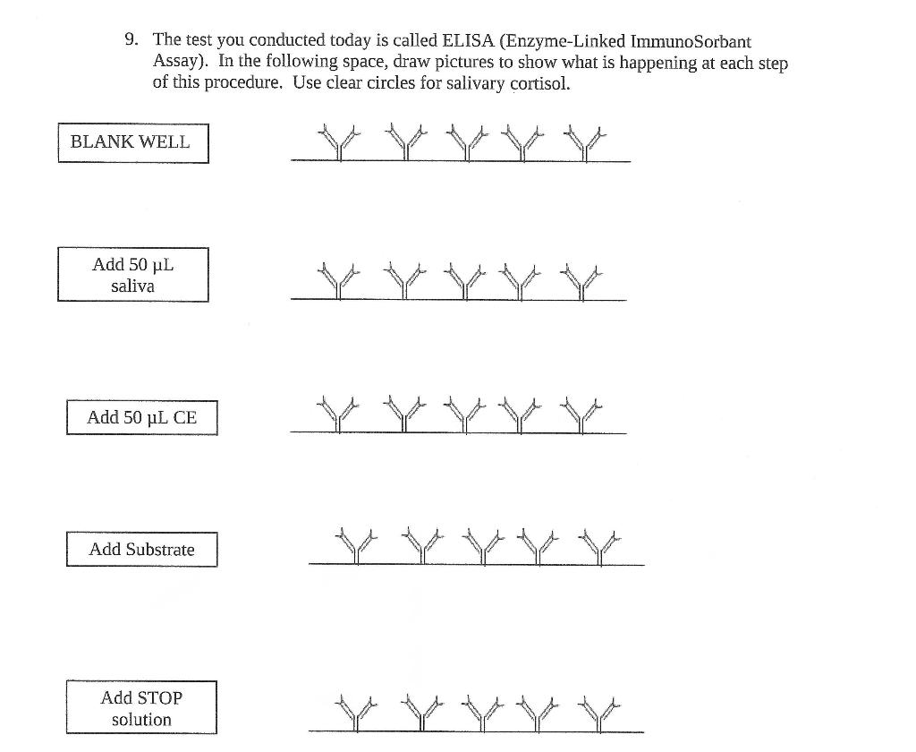 Solved 9. The test you conducted today is called ELISA | Chegg.com