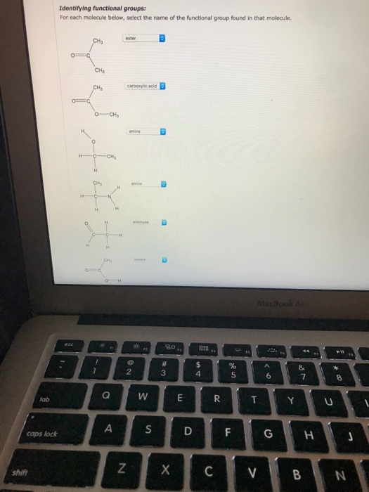 Solved Identifying functional groups: For each molecule | Chegg.com