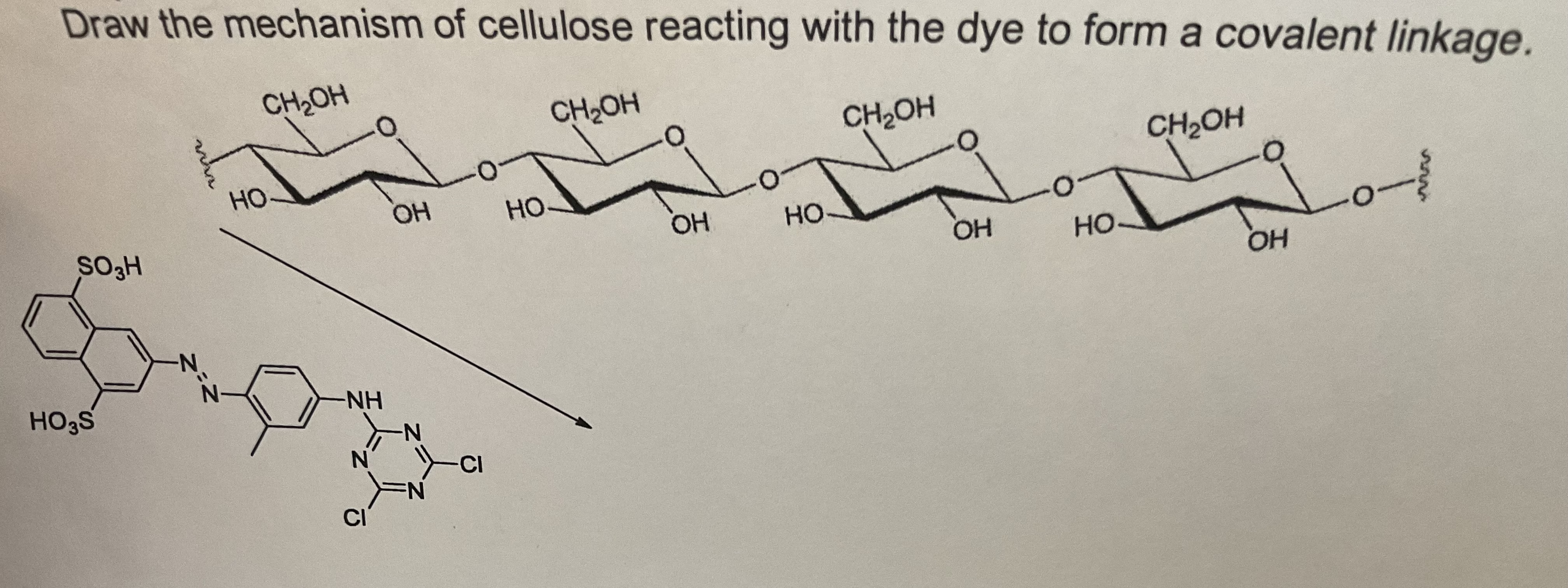 Solved Draw the mechanism of cellulose reacting with the dye | Chegg.com