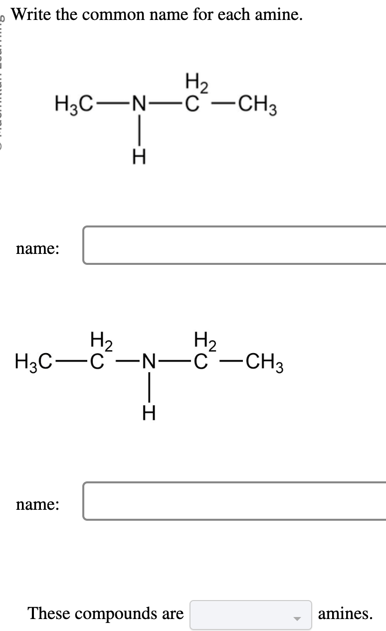 Solved Write the common name for each amine. name: name: | Chegg.com