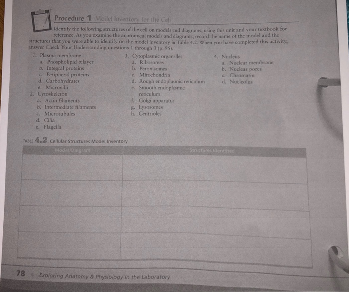 Solved Procedure 1 Model Inventory for the Cell Identify the | Chegg.com