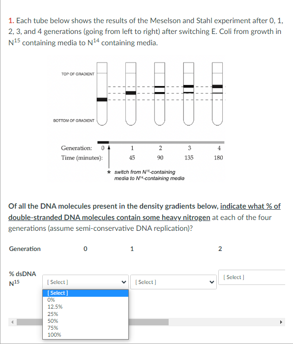 Solved 1. Each tube below shows the results of the Meselson | Chegg.com