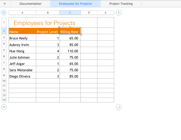 Solved + Documentation Employees for Projects Project | Chegg.com