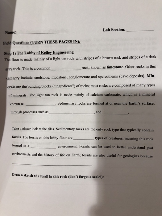 Solved Lab Section: Name: Field Questions CTURN THESE PAGES | Chegg.com