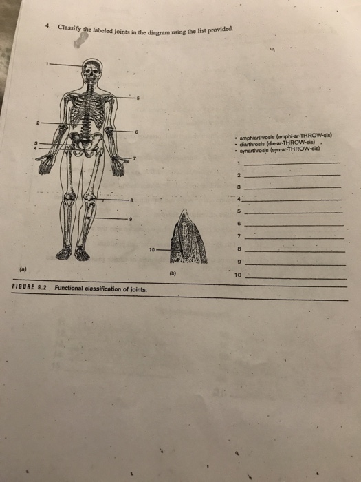Solved 3. Select the key choices that characterize each of | Chegg.com