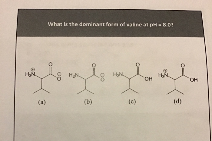Solved What is the dominant form of valine at pH 8.0? H3N | Chegg.com
