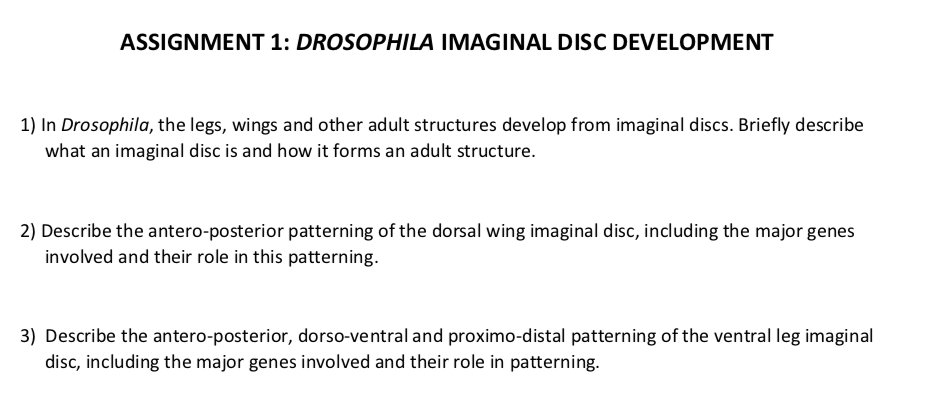 Solved ASSIGNMENT 1: DROSOPHILA IMAGINAL DISC DEVELOPMENT 1) | Chegg.com