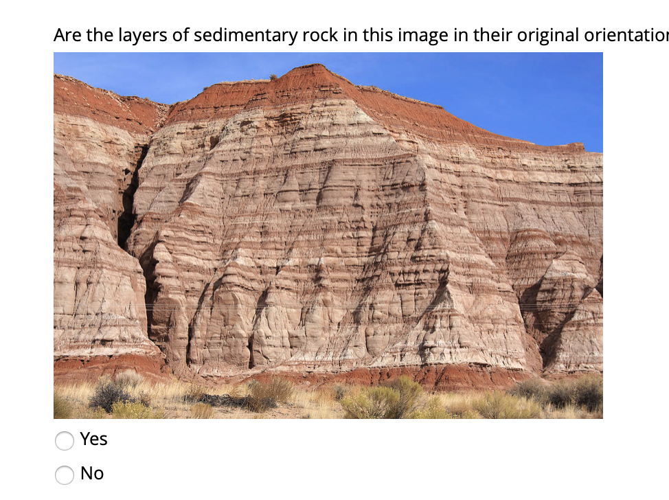 Solved In this outcrop of sedimentary rocks, where is the | Chegg.com