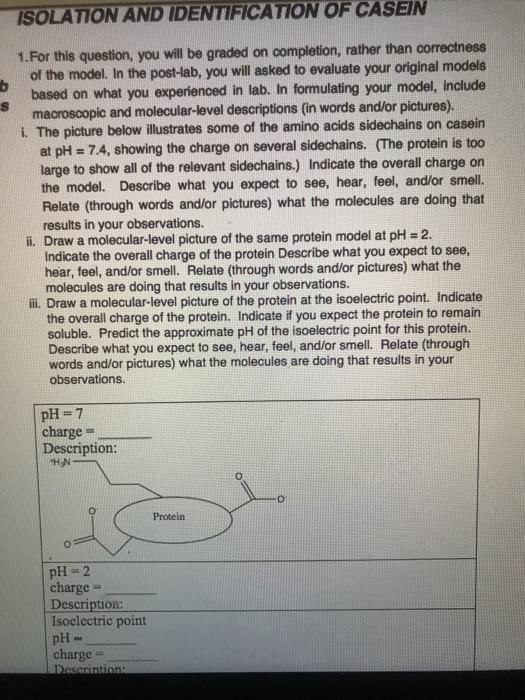 Solved ISOLATION AND IDENTIFICATION OF CASEIN 1. For this | Chegg.com