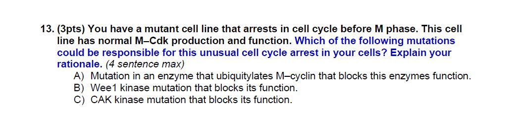 Solved 13. (3pts) You have a mutant cell line that arrests | Chegg.com