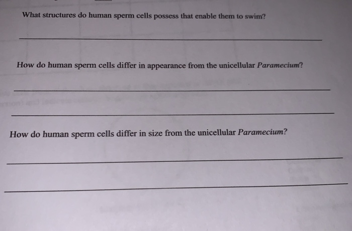 Solved What structures do human sperm cells possess that | Chegg.com