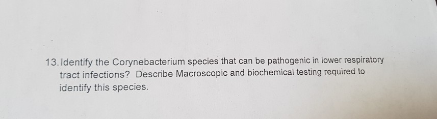 Solved 13. Identify the Corynebacterium species that can be | Chegg.com