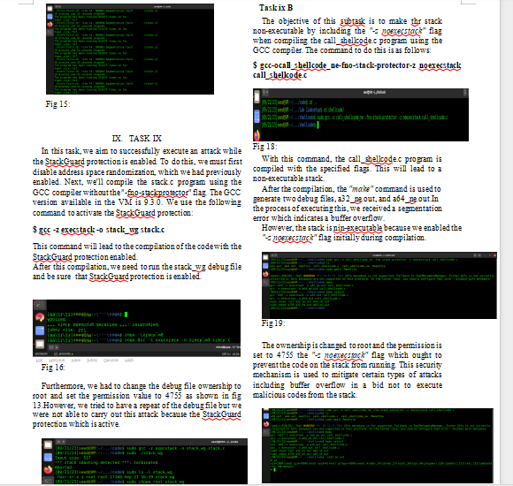 Find below some screenshots of the Buffer overflow | Chegg.com