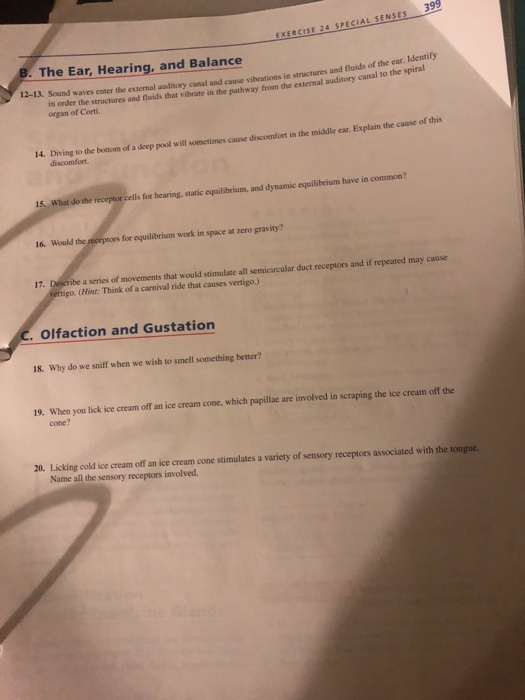 Solved 399 B. The Ear. Hearing, and Balance EKERCISE 24 | Chegg.com