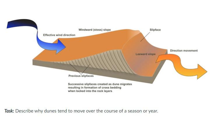 Solved Slipface Windward (stoss) slope Effective wind | Chegg.com