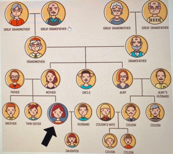 Solved How many family members should have the same | Chegg.com