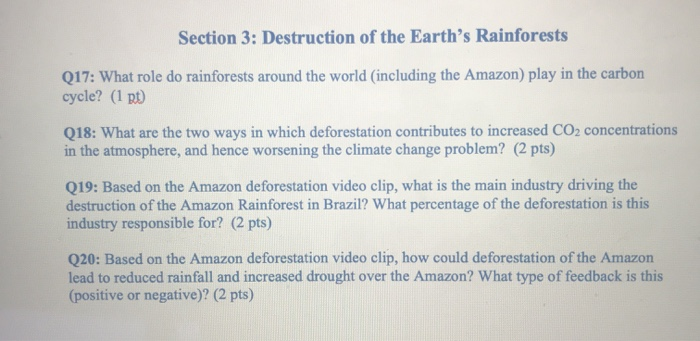 Solved Section 3: Destruction of the Earth's Rainforests | Chegg.com