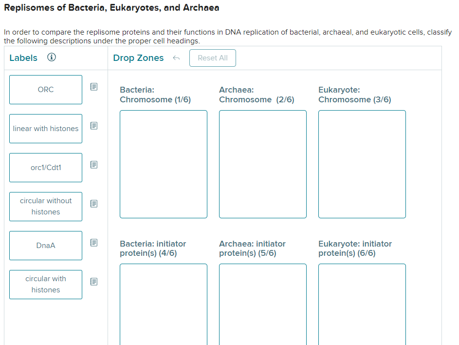 Solved Replisomes of Bacteria, Eukaryotes, and Archaea In | Chegg.com