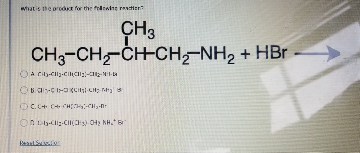 Solved What is the product for the following reaction? CH3 | Chegg.com