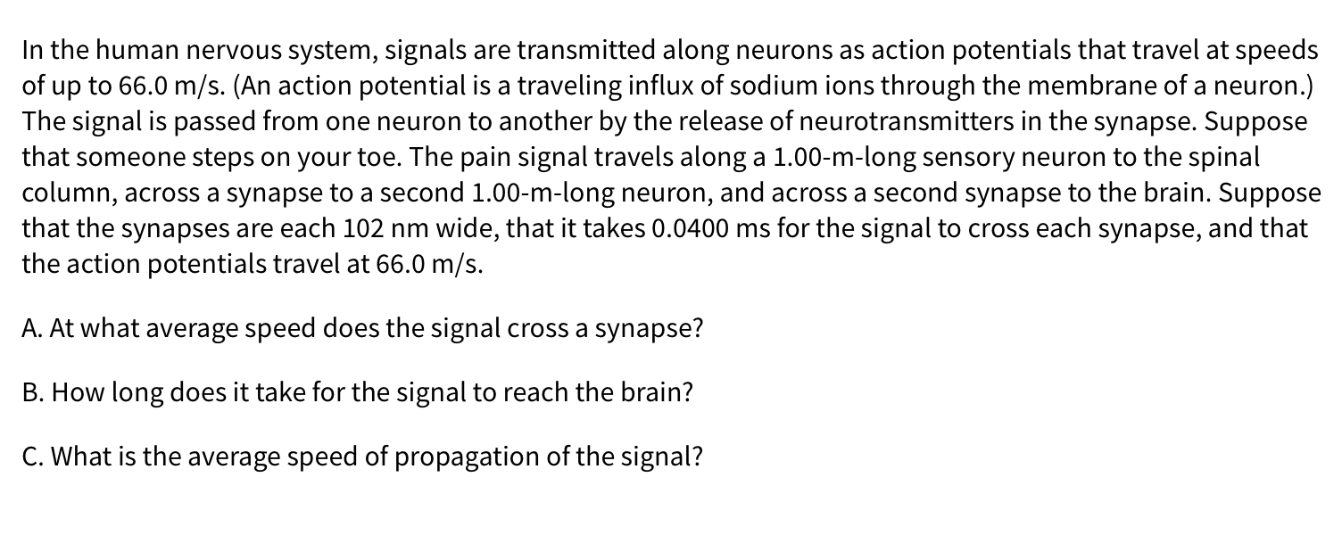 Solved In the human nervous system, signals are transmitted | Chegg.com