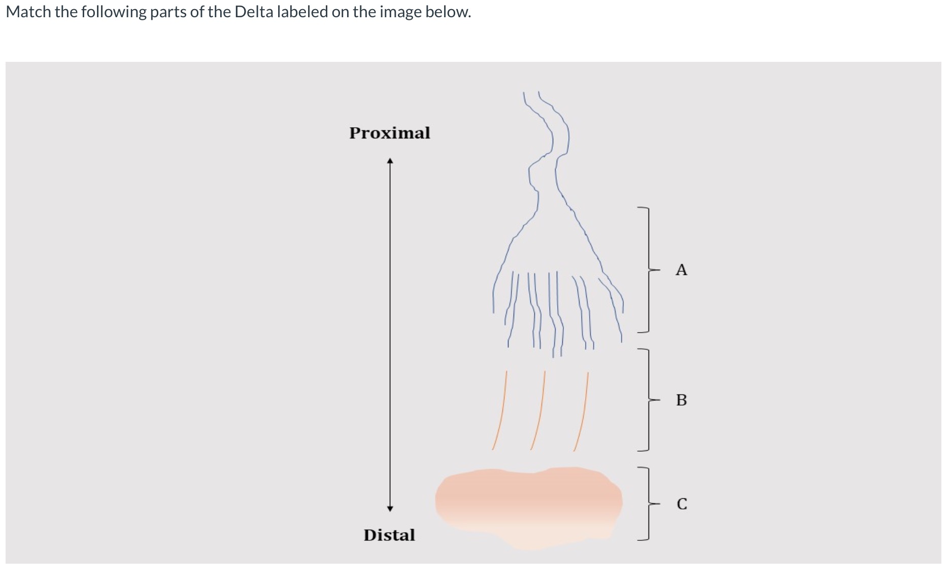 Solved Match the following parts of the Delta labeled on the | Chegg.com
