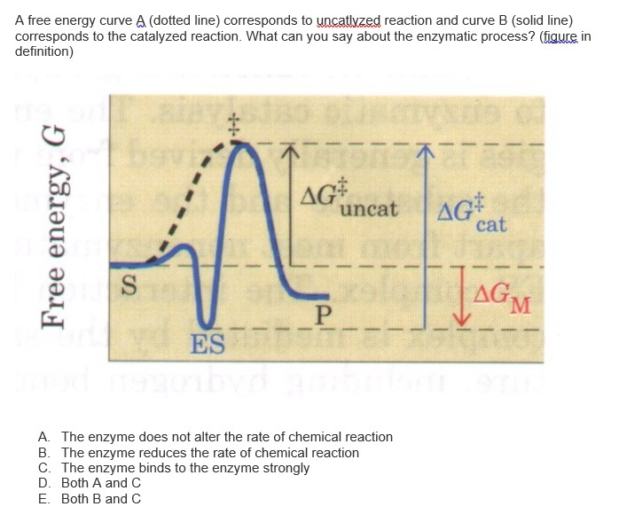 Solved A free energy curve A (dotted line) corresponds to | Chegg.com