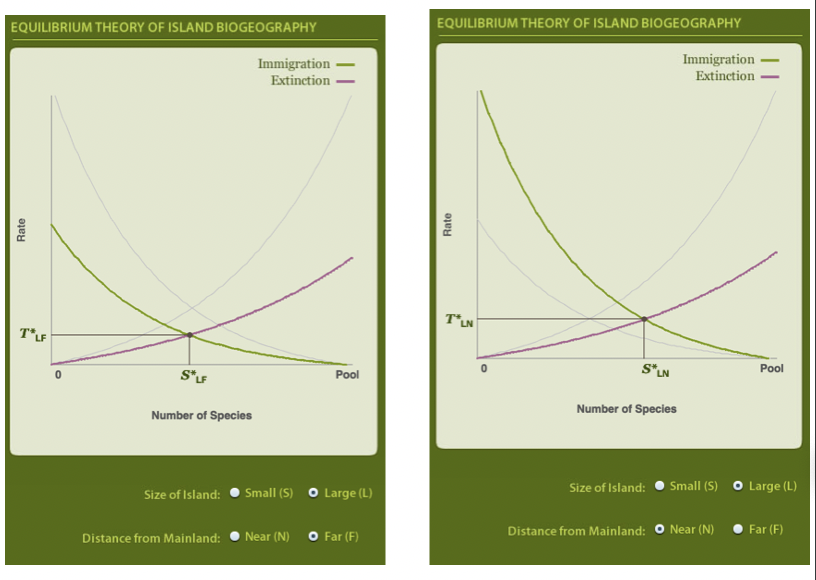 Solved According to the Equilibrium Theory of Island | Chegg.com