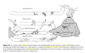 Solved Aeriale Aerial active Animal-internal 3 Aquative | Chegg.com