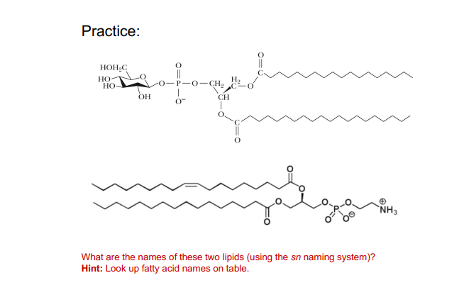 Solved Practice: What are the names of these two lipids | Chegg.com