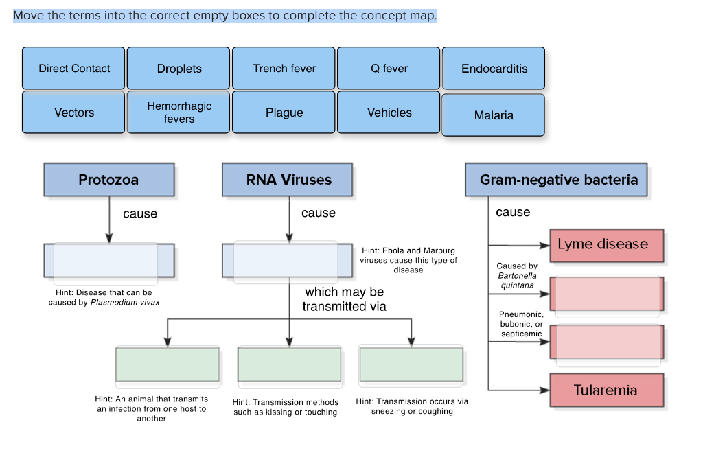 Viruses And Bacteria Concept Map Interactive Map