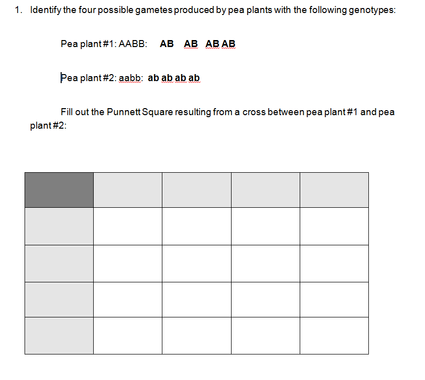 Solved Monohybrid Cross 1. Step 1 Punnett Square Yy Yy Yy Yy | Chegg.com