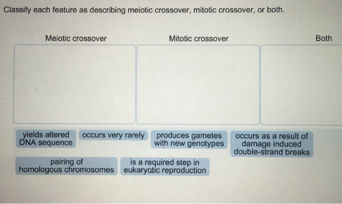 Solved Classify each feature as describing meiotic | Chegg.com