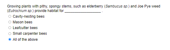 Solved Growing plants with pithy, spongy stems, such as | Chegg.com