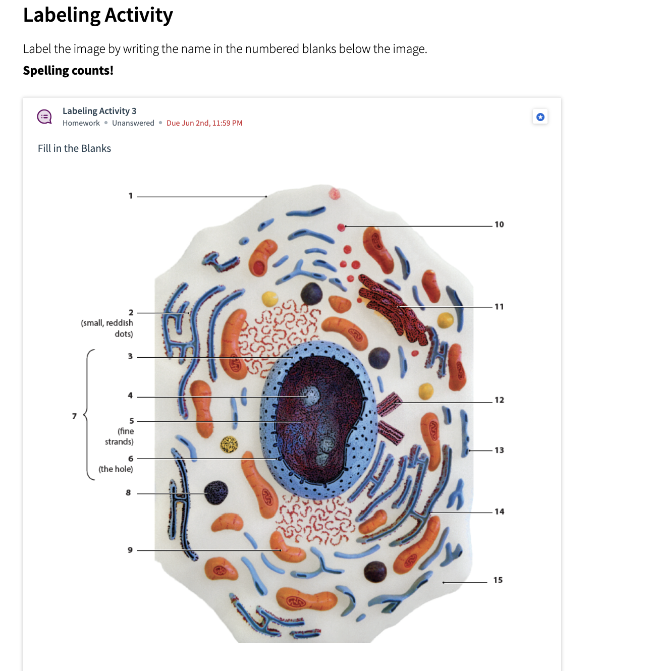 Solved Labeling Activity Label the image by writing the name | Chegg.com
