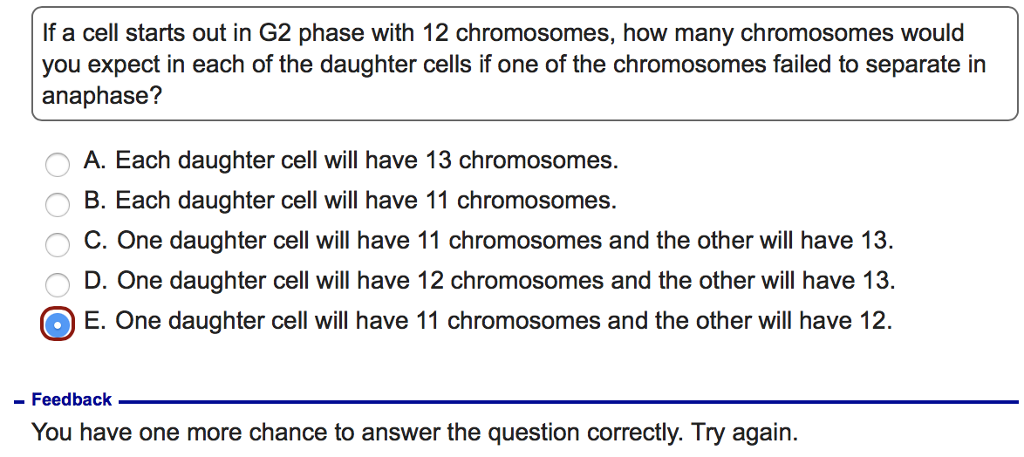 Solved If a cell starts out in G2 phase with 12 chromosomes, | Chegg.com