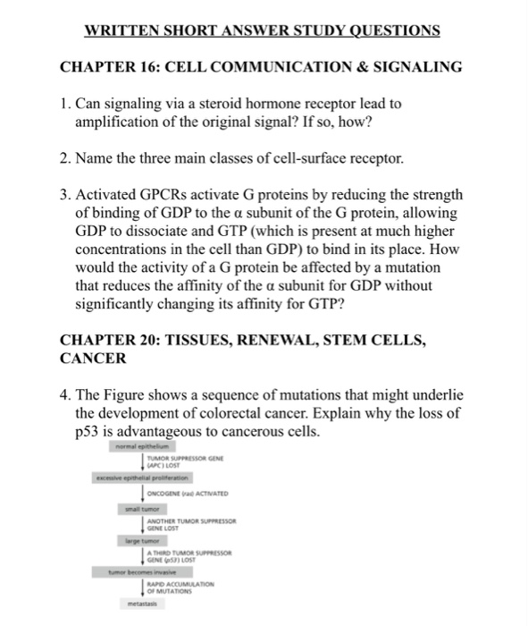 Solved NSW NS CHAPTER 16: CELL COMMUNICATION & SIGNALING 1. | Chegg.com