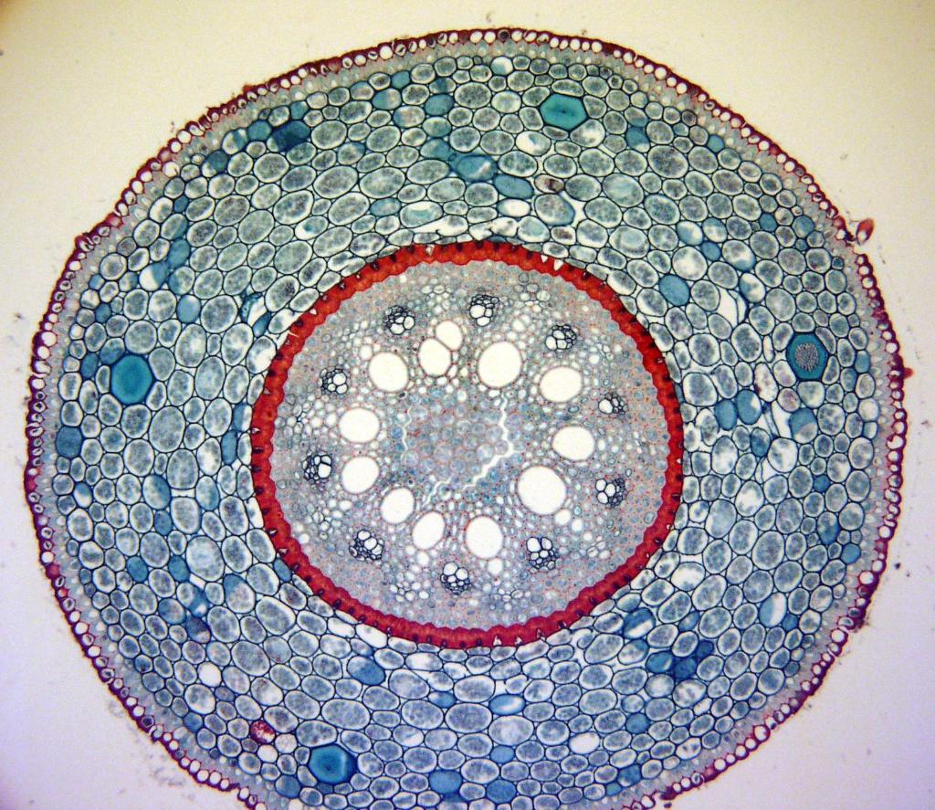 Solved Please consider the pictures below and answer those | Chegg.com