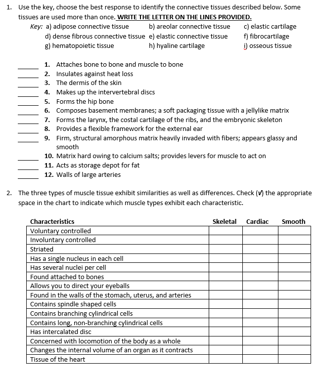 Solved Use the key, choose the best response to identify the | Chegg.com