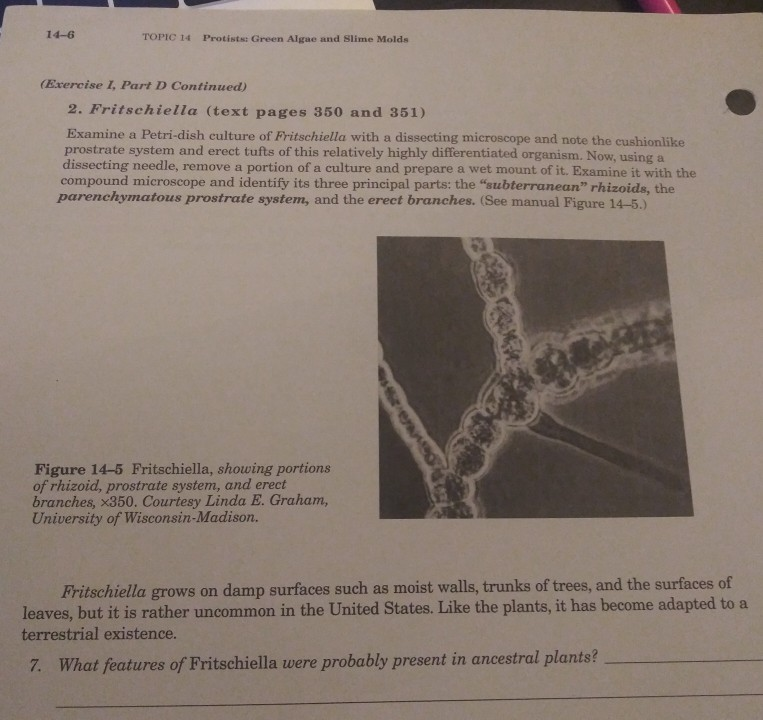 Solved 14-6 TOPIC 14 Protists: Green Algae and Slime Molds | Chegg.com