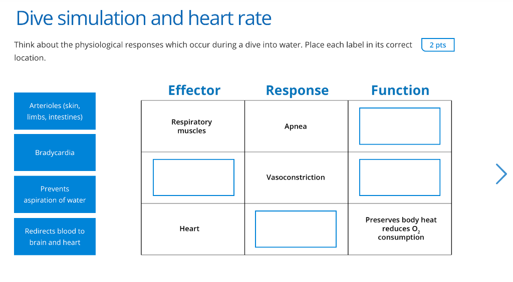 Solved Dive simulation and heart rate Think about the | Chegg.com