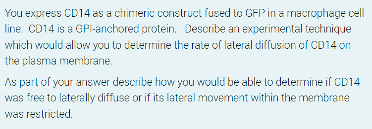 Solved You express CD14 as a chimeric construct fused to GFP | Chegg.com
