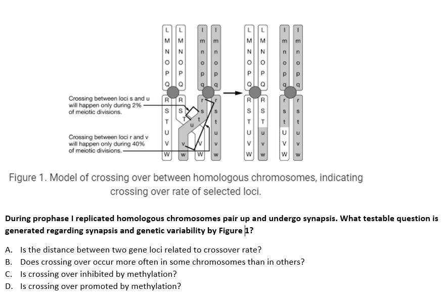 Solved Please select the best option with an explanation. | Chegg.com